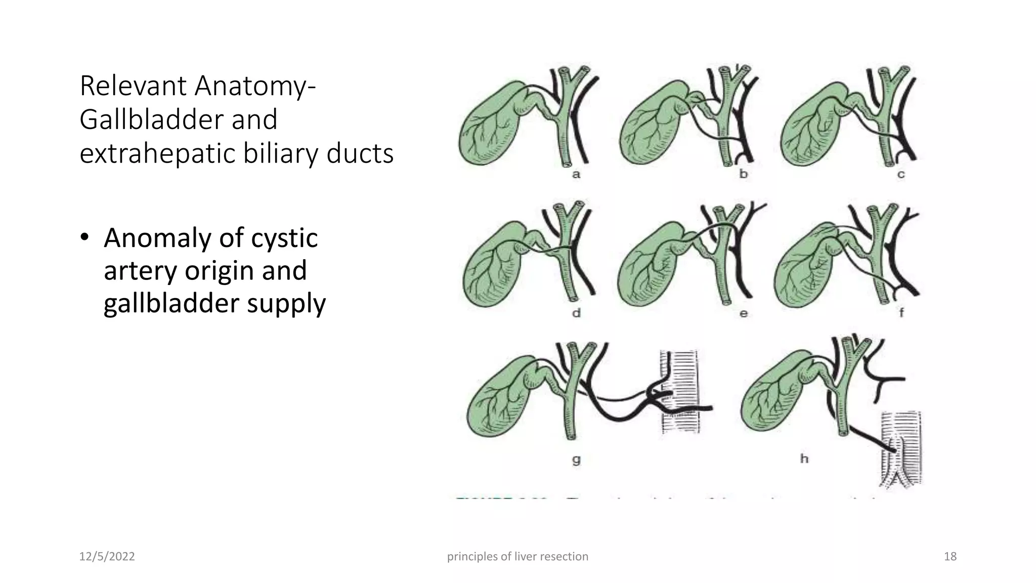 Surgical anatomy of Liver, Pancreas, Biliary tree and Principle of ...