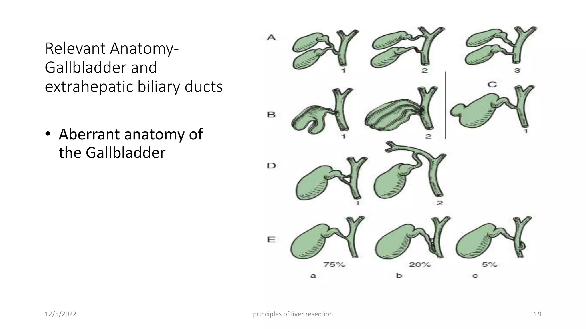 Surgical anatomy of Liver, Pancreas, Biliary tree and Principle of ...