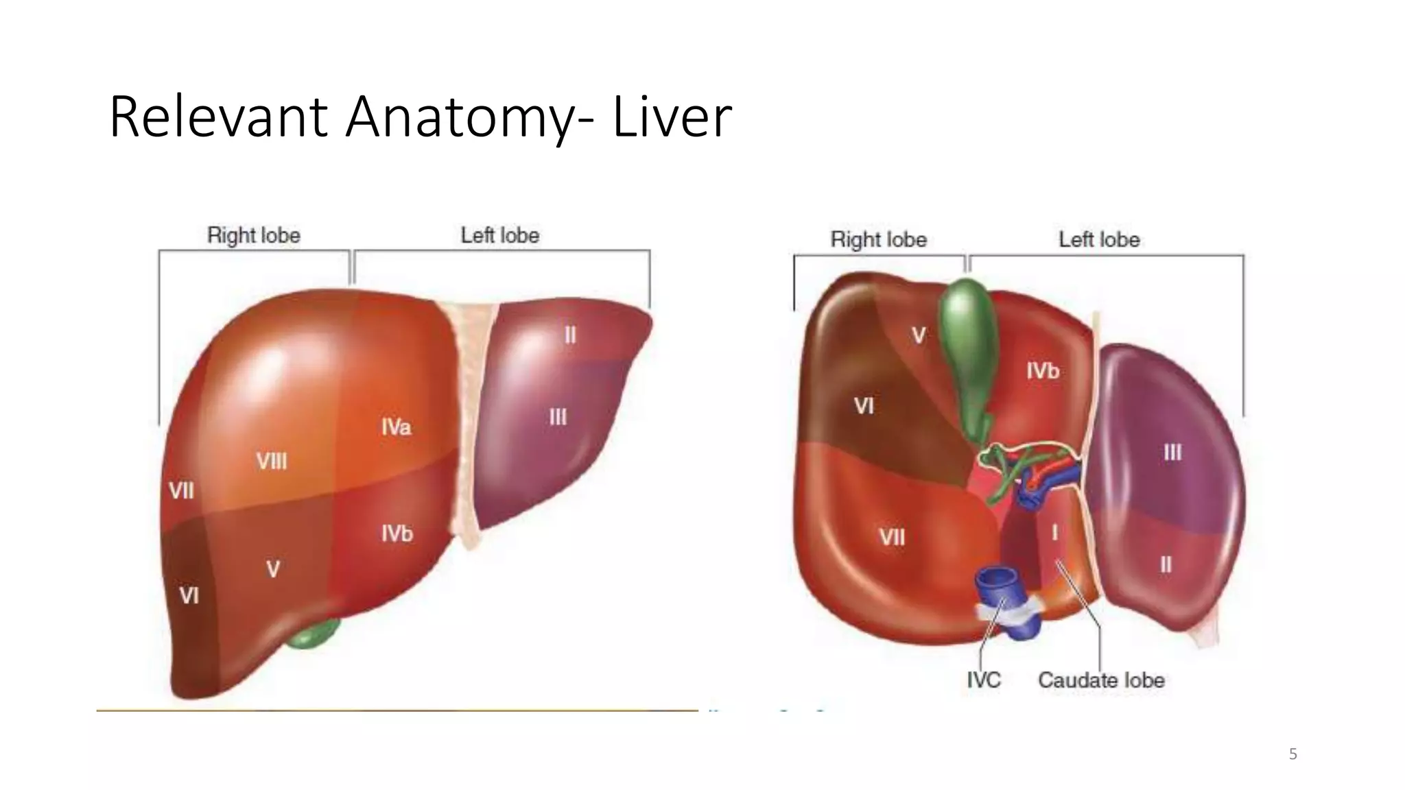 Surgical anatomy of Liver, Pancreas, Biliary tree and Principle of ...
