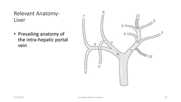 Surgical anatomy of Liver, Pancreas, Biliary tree and Principle of ...