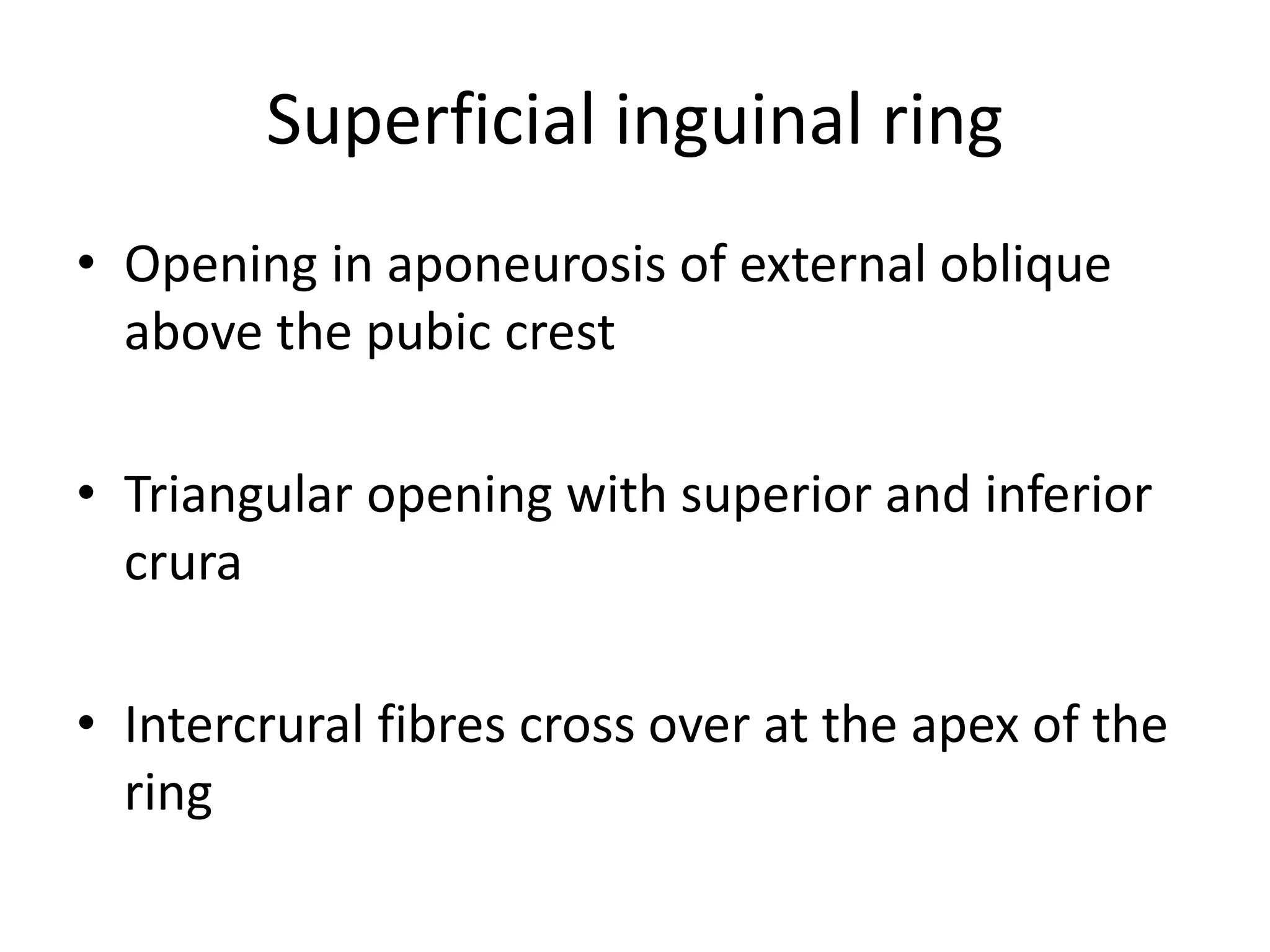 Surgical anatomy of inguinal hernia | PPTX