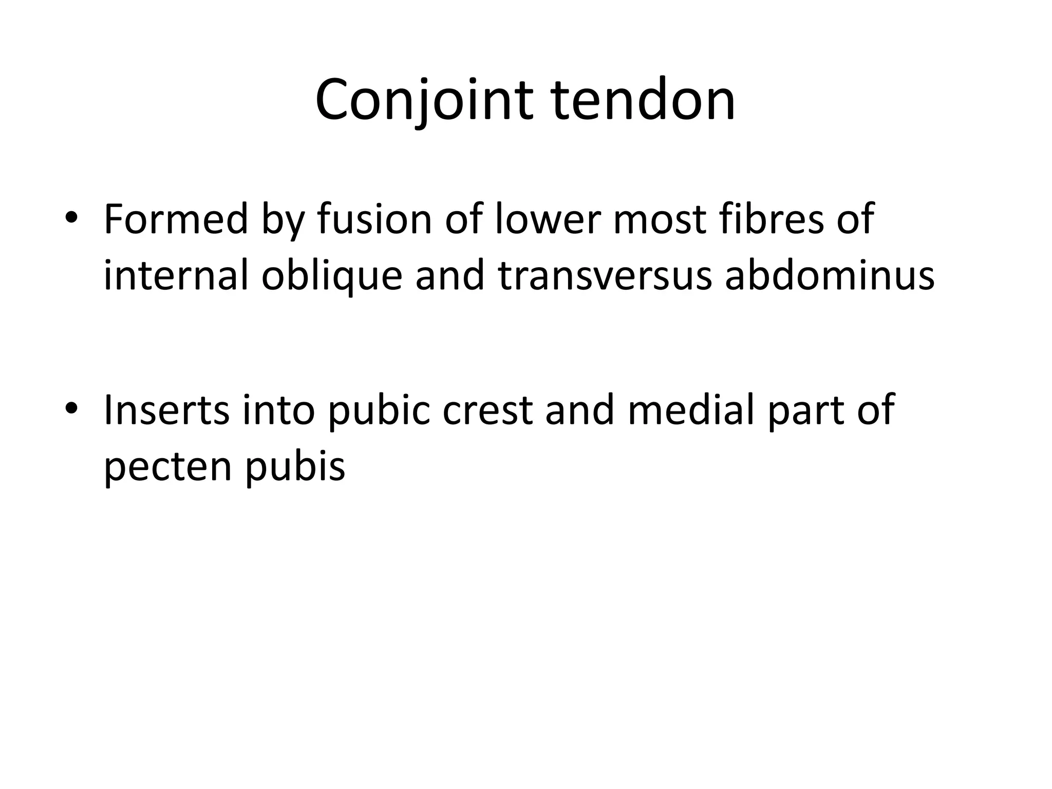 Surgical anatomy of inguinal hernia | PPTX