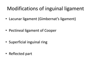 Surgical anatomy of inguinal hernia | PPTX