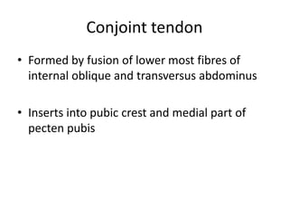 Surgical anatomy of inguinal hernia | PPTX