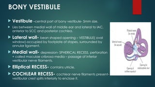 SURGICAL ANATOMY OF INNER EAR ent le.pptx
