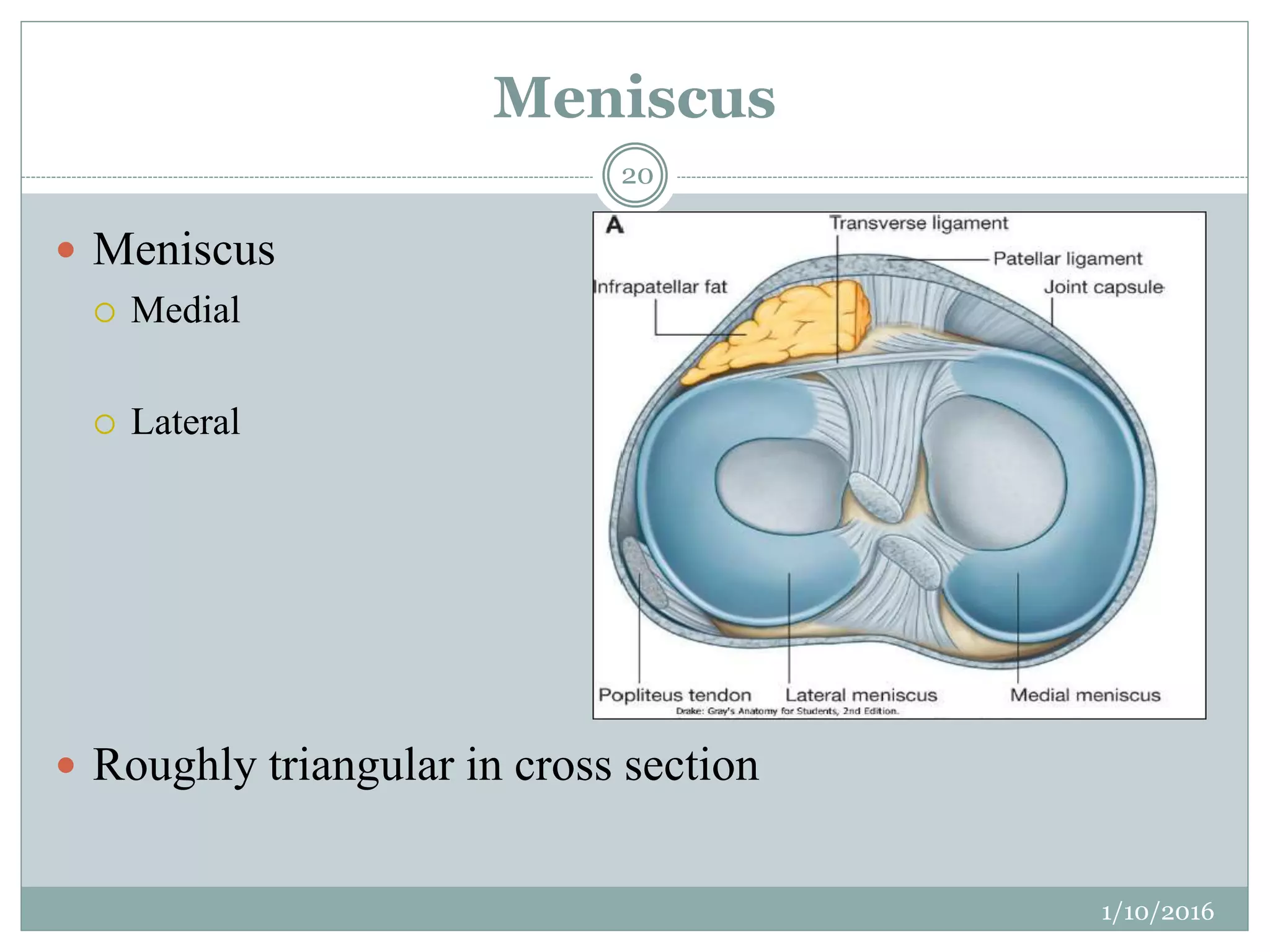 Surgical anatomy of knee joint | PPTX