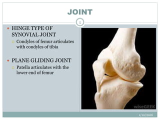 Surgical anatomy of knee joint | PPTX