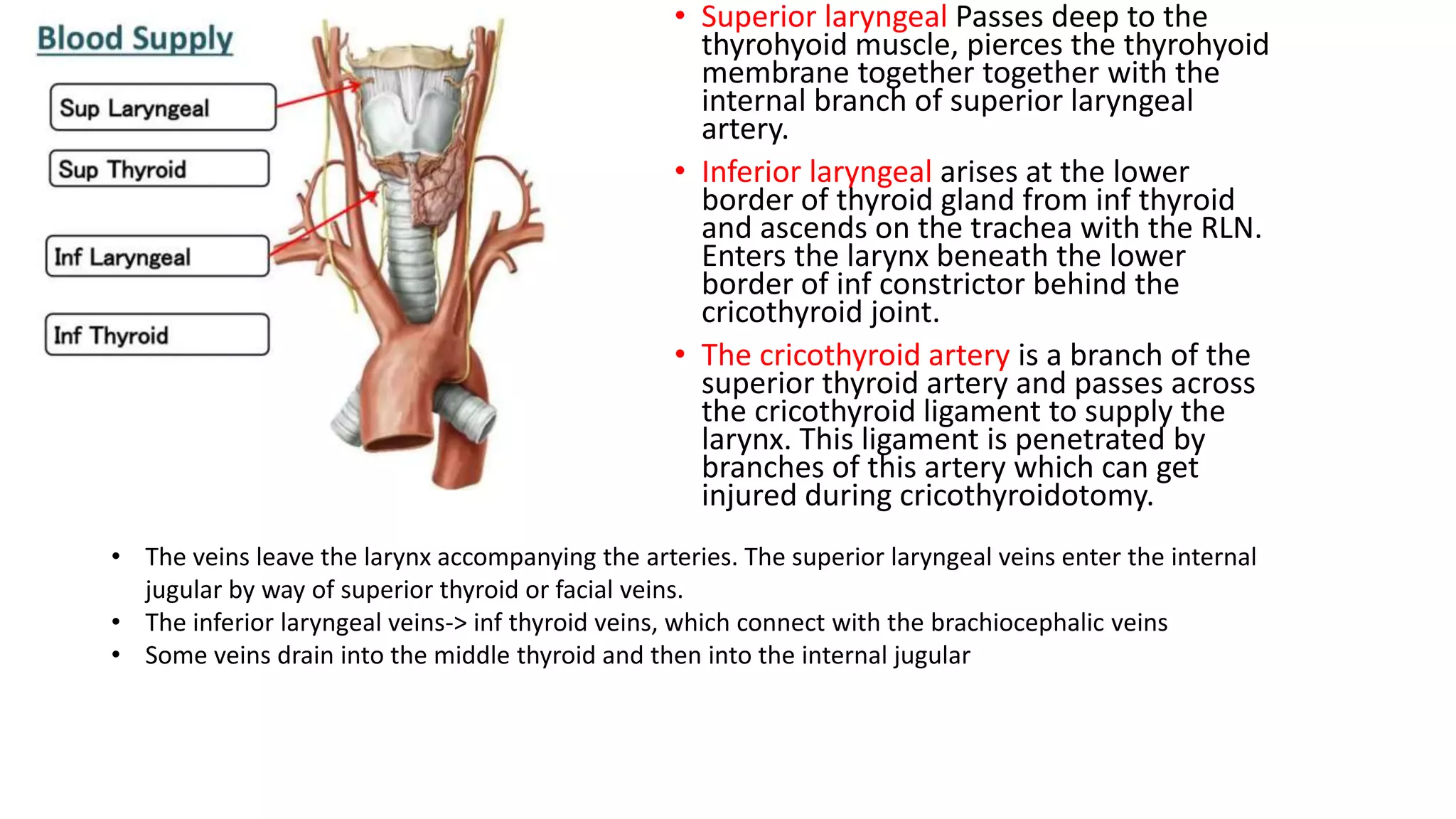 Surgical Anatomy of larynx.pptx