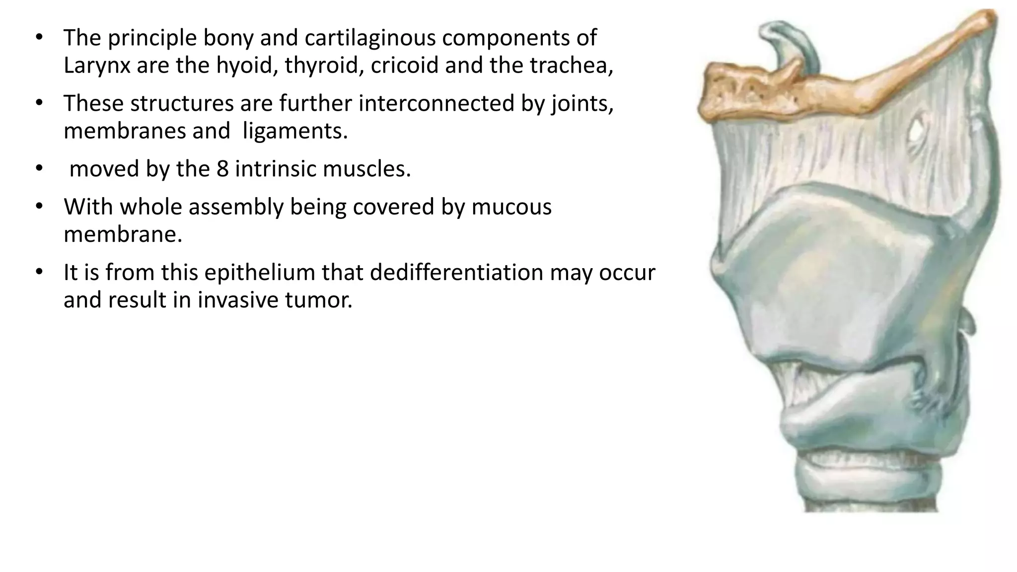 Surgical Anatomy of larynx.pptx