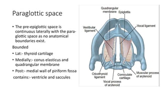 Surgical Anatomy of larynx.pptx