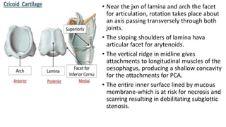 Surgical Anatomy of larynx.pptx
