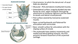 Surgical Anatomy of larynx.pptx