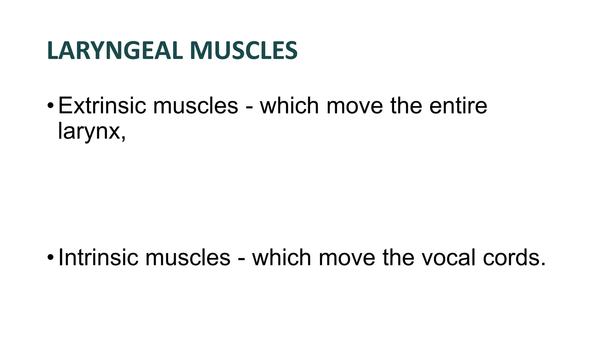 SURGICAL ANATOMY OF LARYNX.pptx by Dr Laraib | PPTX