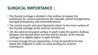 SURGICAL ANATOMY OF LARYNX.pptx by Dr Laraib | PPTX