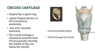 SURGICAL ANATOMY OF LARYNX.pptx by Dr Laraib | PPTX