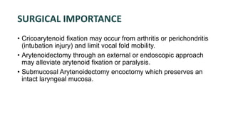 SURGICAL ANATOMY OF LARYNX.pptx by Dr Laraib | PPTX