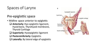 Surgical Anatomy of Larynx(1).pdf by dr arfa | PDF