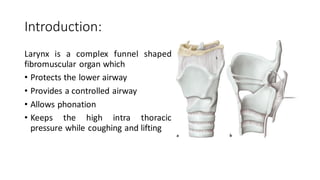 Surgical Anatomy of Larynx(1).pdf by dr arfa | PDF