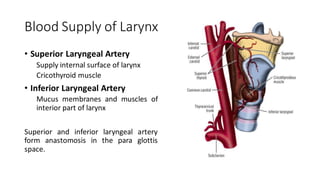 Surgical Anatomy of Larynx(1).pdf by dr arfa | PPT