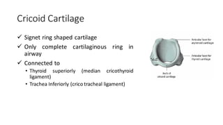 Surgical Anatomy of Larynx(1).pdf by dr arfa | PPT