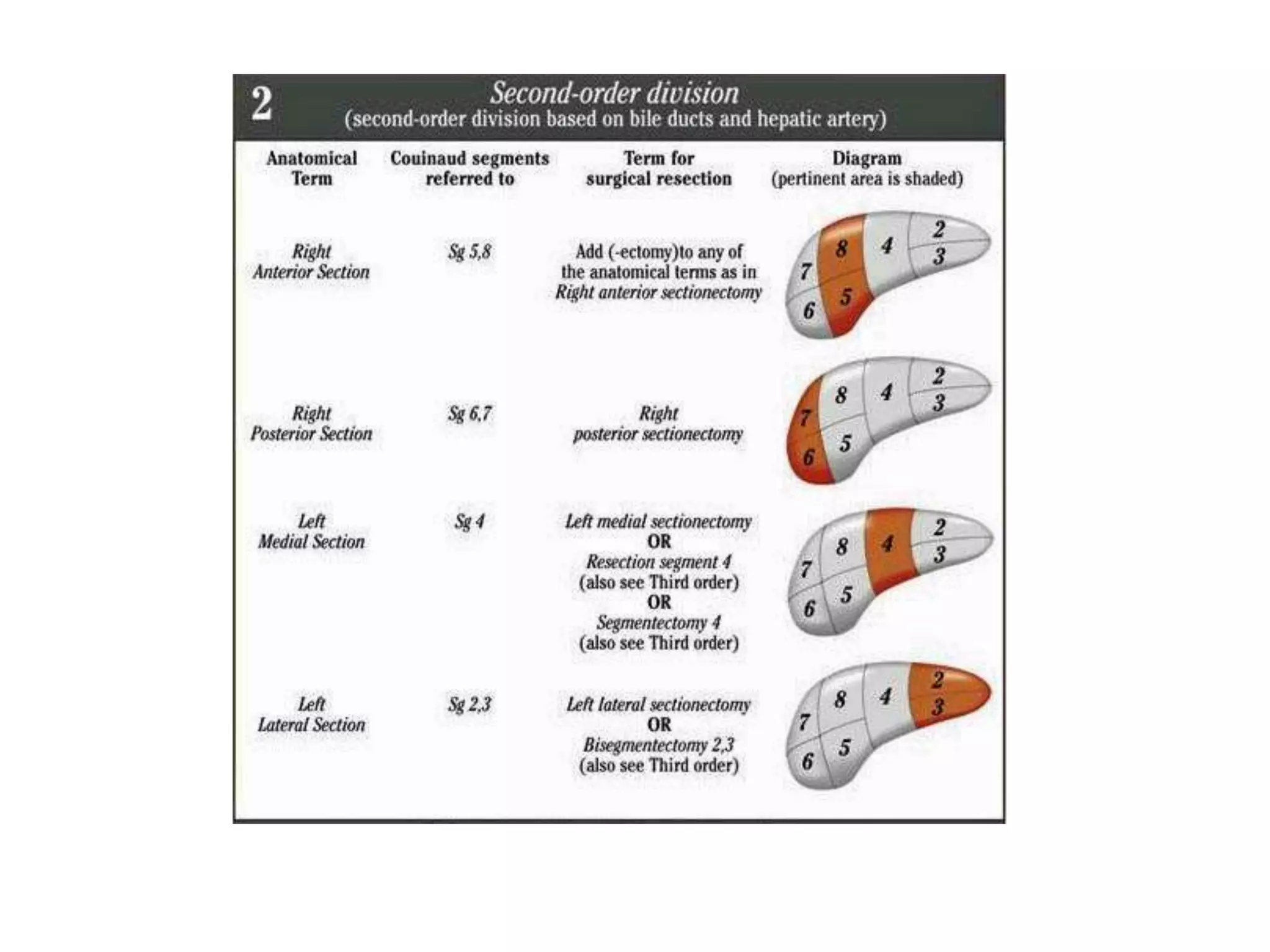 Surgical anatomy of liver | PPTX