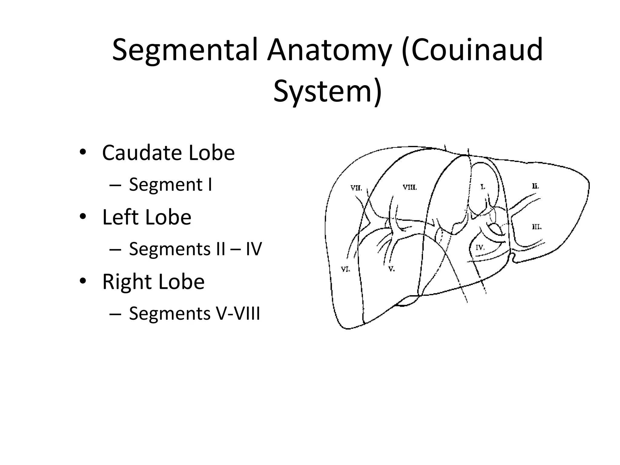 Surgical anatomy of liver | PPTX