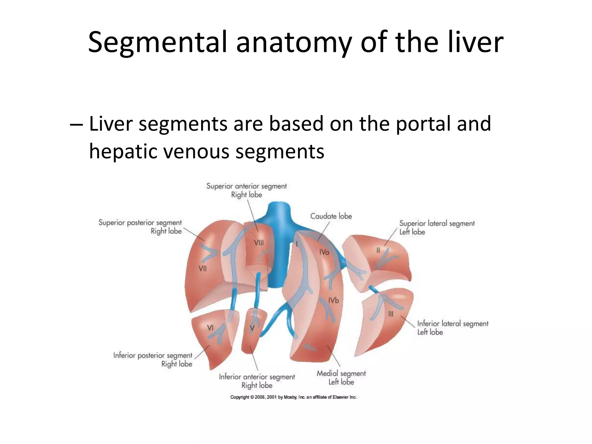 Surgical anatomy of liver | PPTX