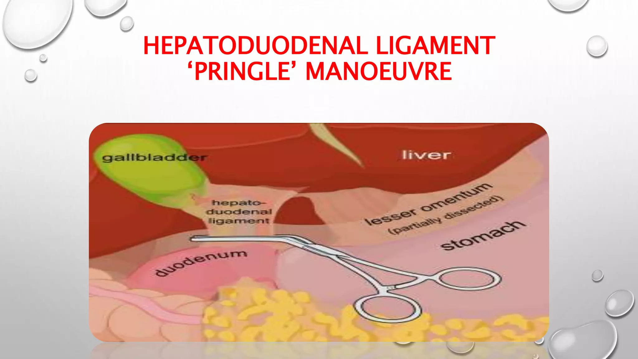 Surgical anatomy of liver | PPTX