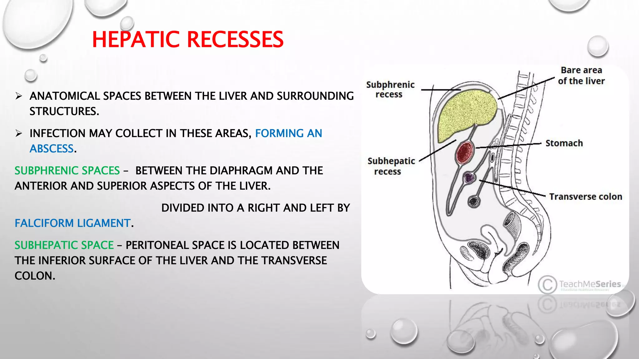 Surgical anatomy of liver | PPTX