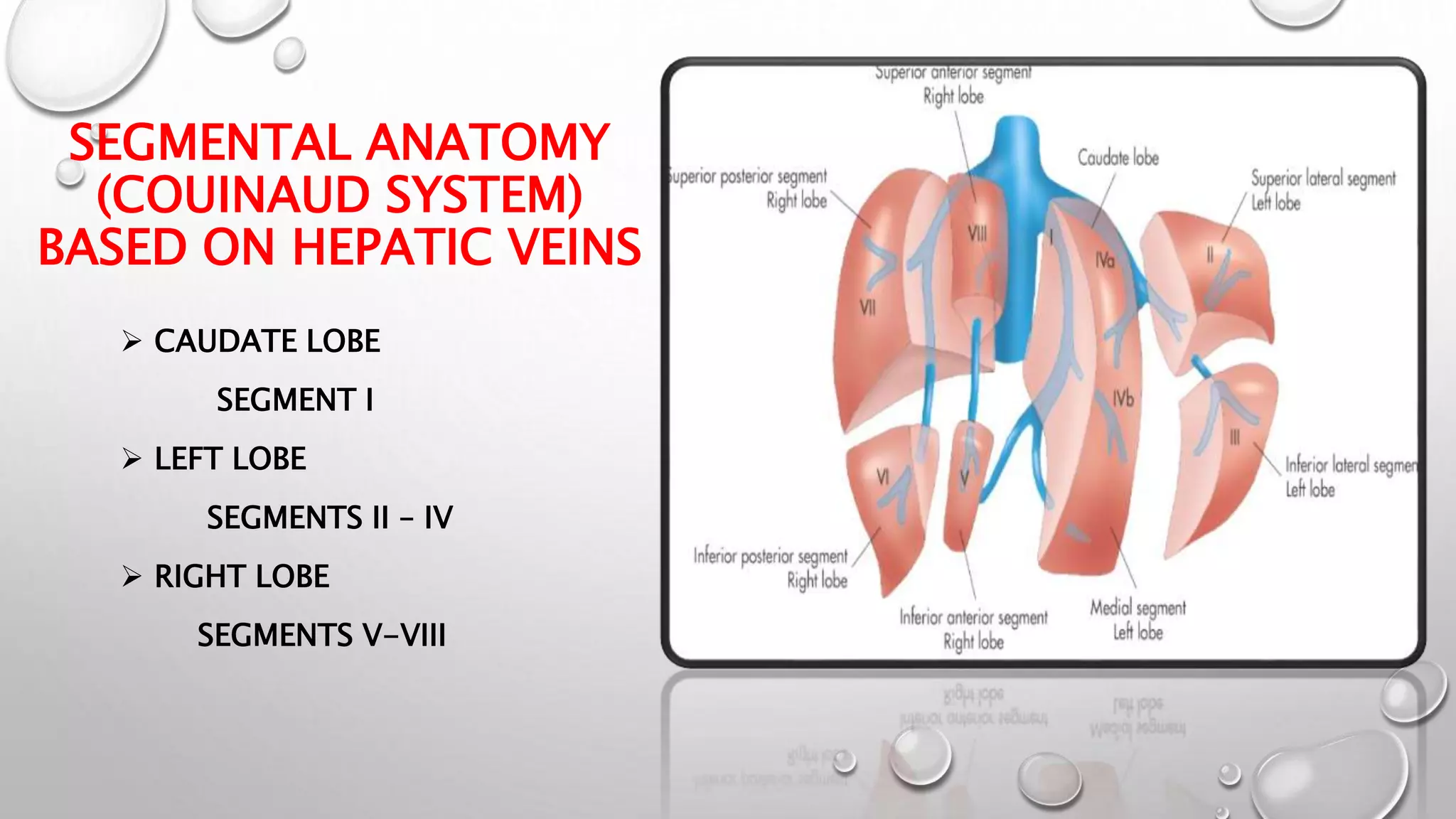Surgical anatomy of liver | PPTX