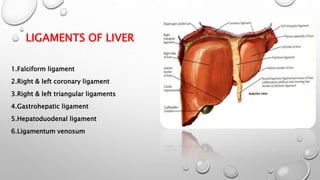 Surgical anatomy of liver | PPTX