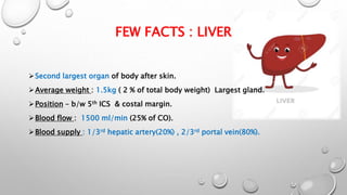 Surgical anatomy of liver | PPTX