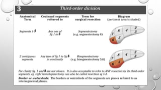Surgical anatomy of liver | PPTX