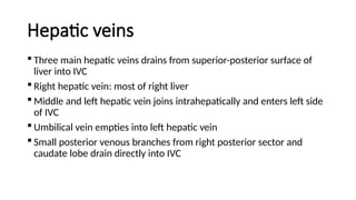 Surgical Anatomy of Liver in detail for undergraduate | PPTX