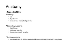 Surgical Anatomy of Liver in detail for undergraduate | PPTX