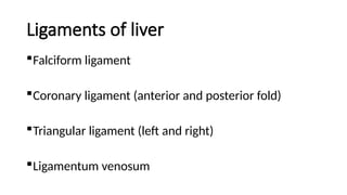 Surgical Anatomy of Liver in detail for undergraduate | PPTX