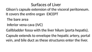 surgical anatomy of liver.pptx....... mmm | PPTX