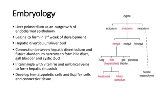 Surgical anatomy of Liver, Concept of liver.pptx