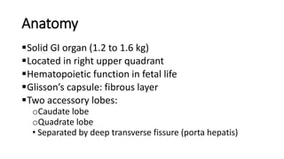 Surgical anatomy of Liver, Concept of liver.pptx