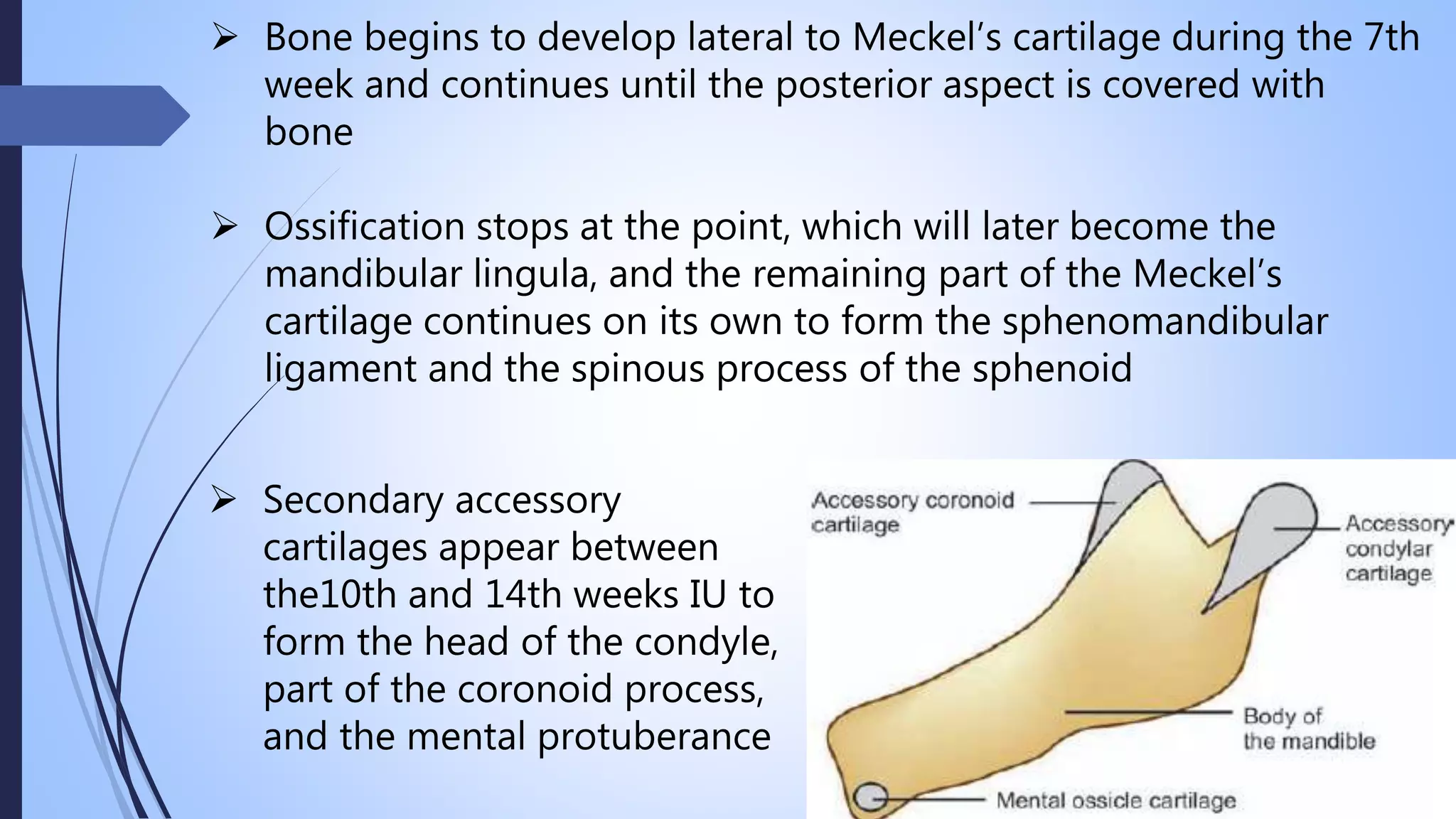 Surgical anatomy of mandible | PPTX