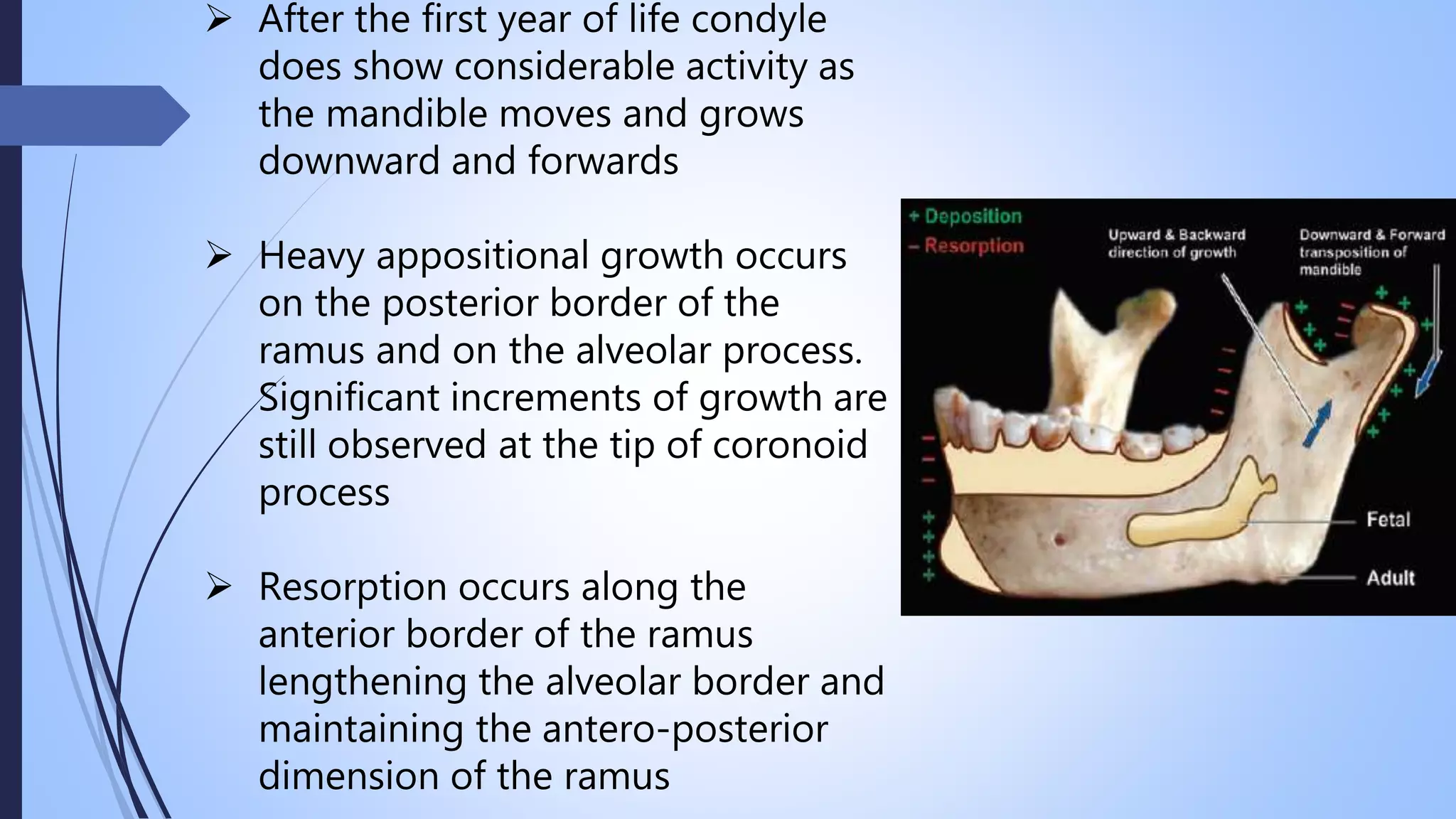 Surgical anatomy of mandible | PPTX