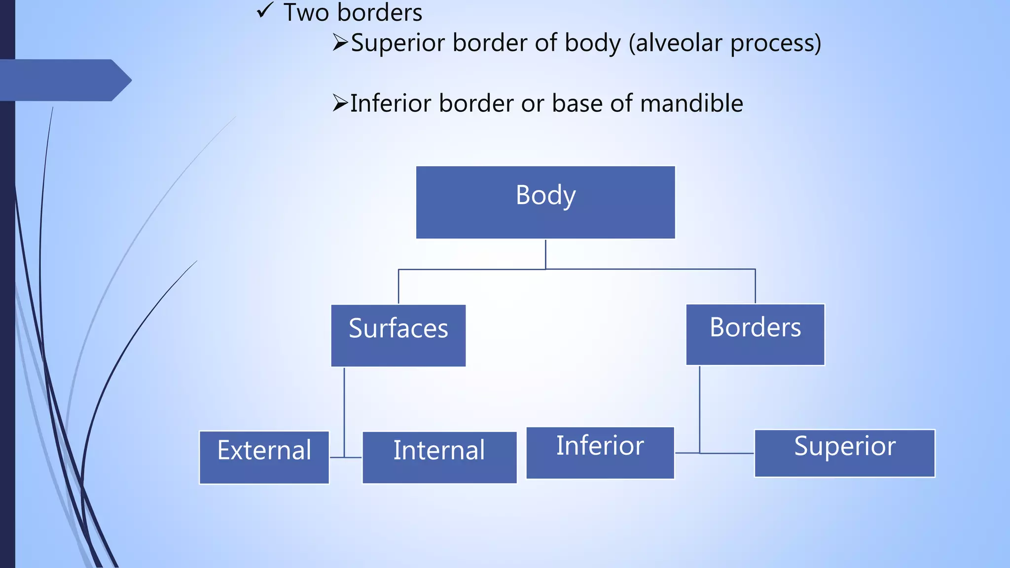 Surgical anatomy of mandible | PPTX