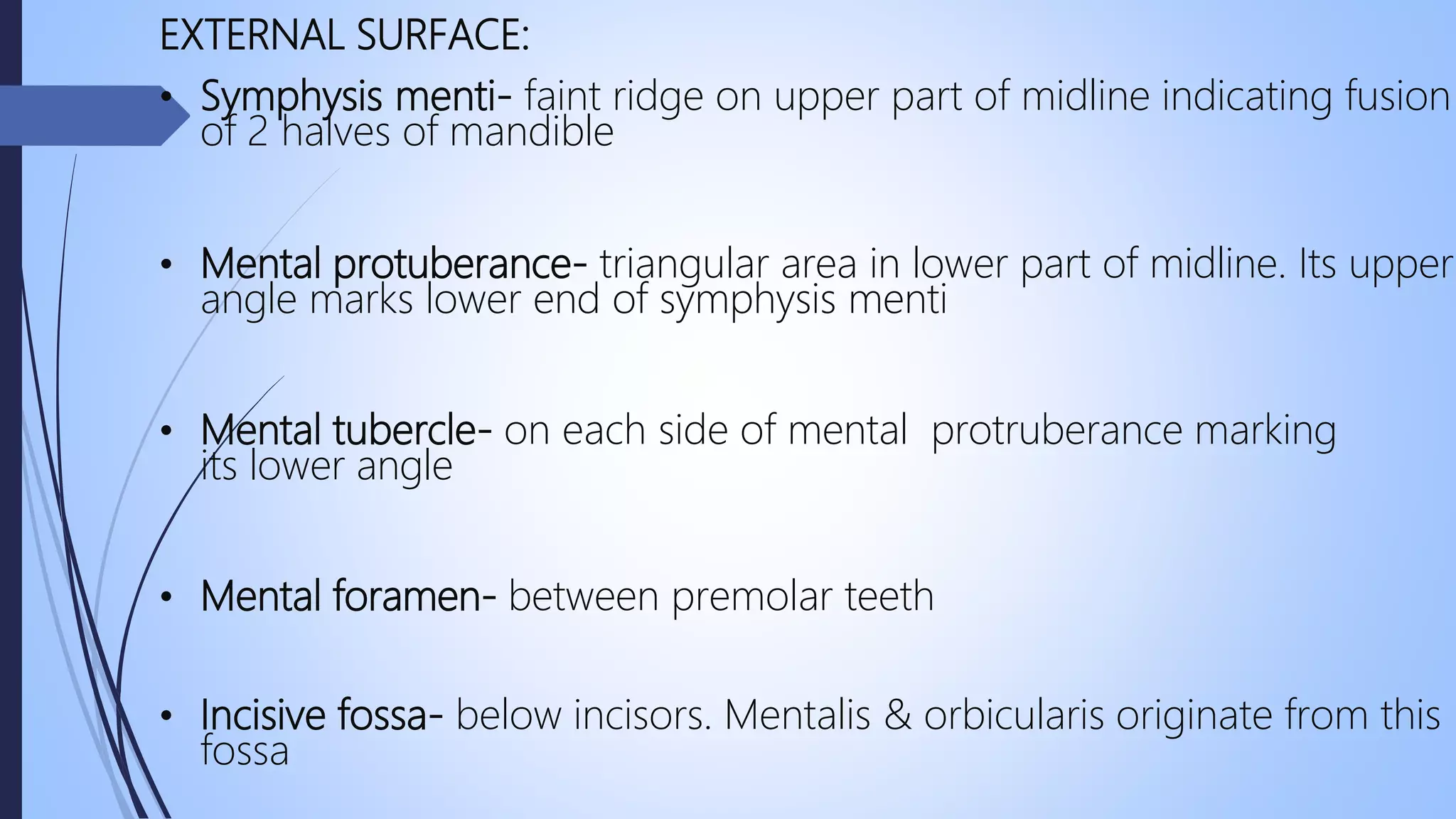 Surgical anatomy of mandible | PPTX