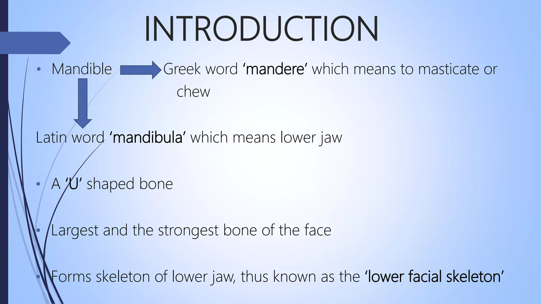 Surgical anatomy of mandible | PPTX