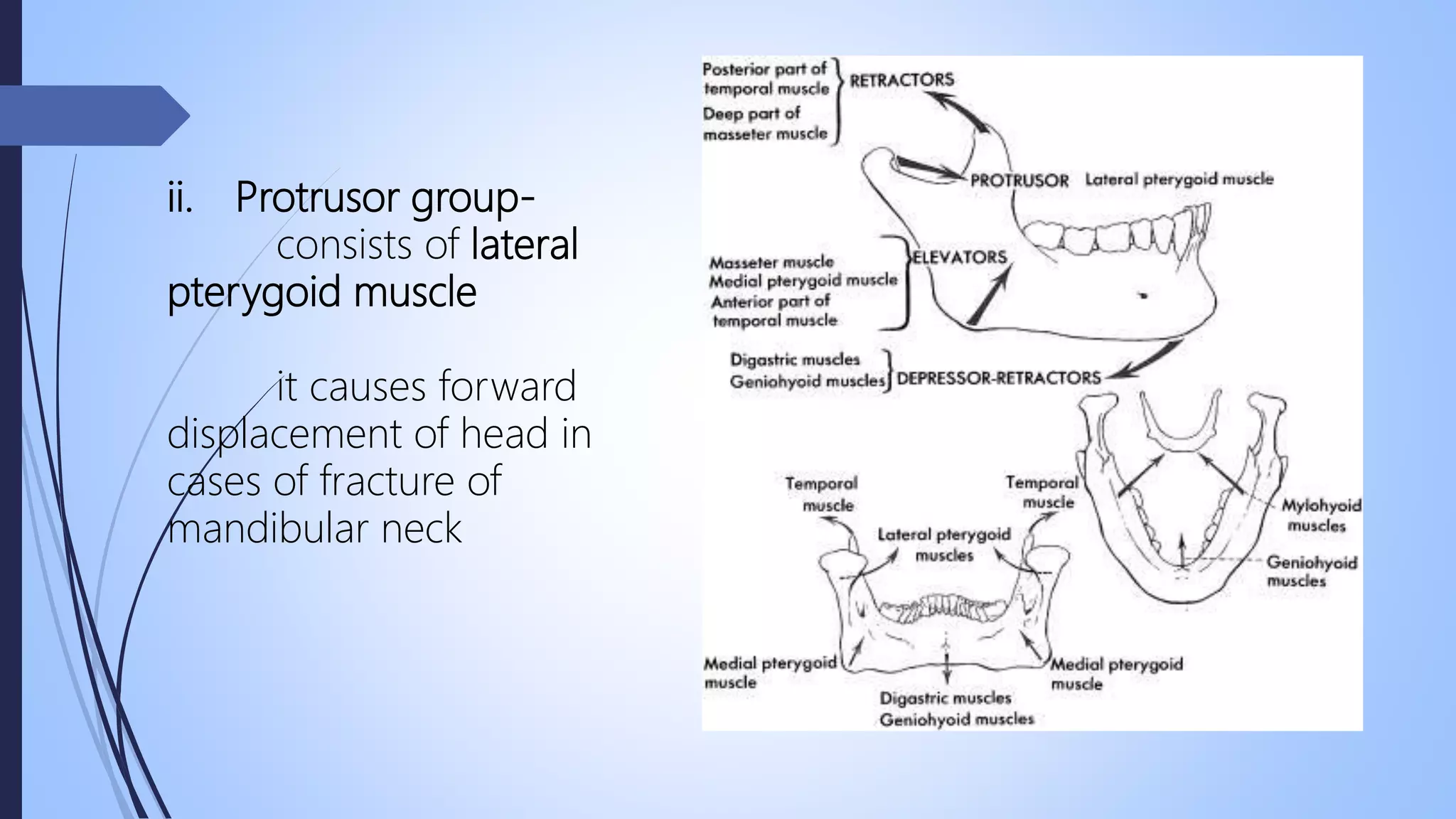 Surgical anatomy of mandible | PPTX