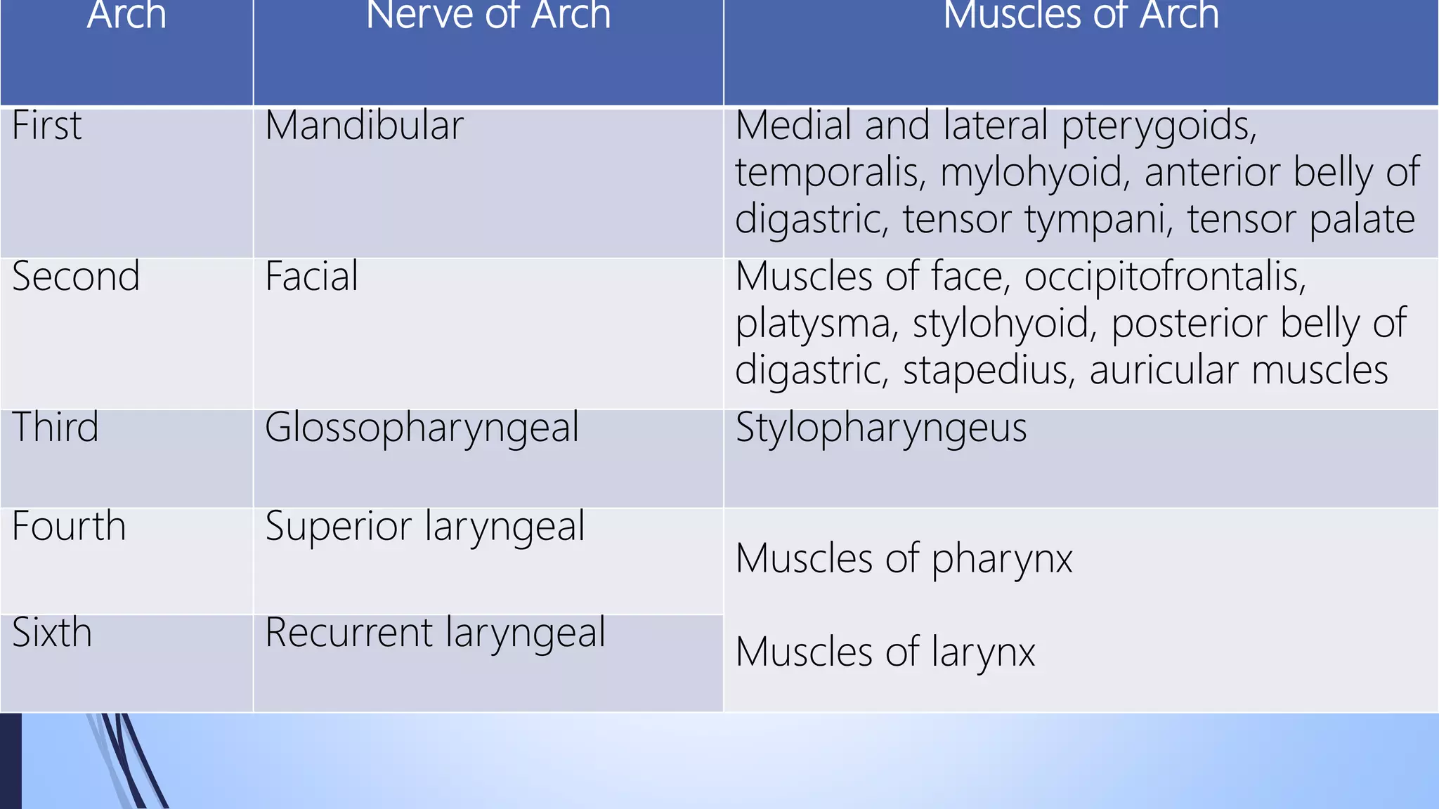 Surgical anatomy of mandible | PPTX