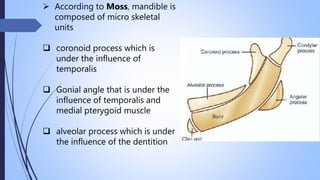 Surgical anatomy of mandible | PPTX