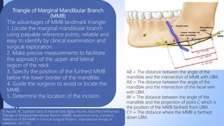Surgical anatomy of mandible | PPTX