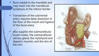 Surgical anatomy of mandible | PPTX