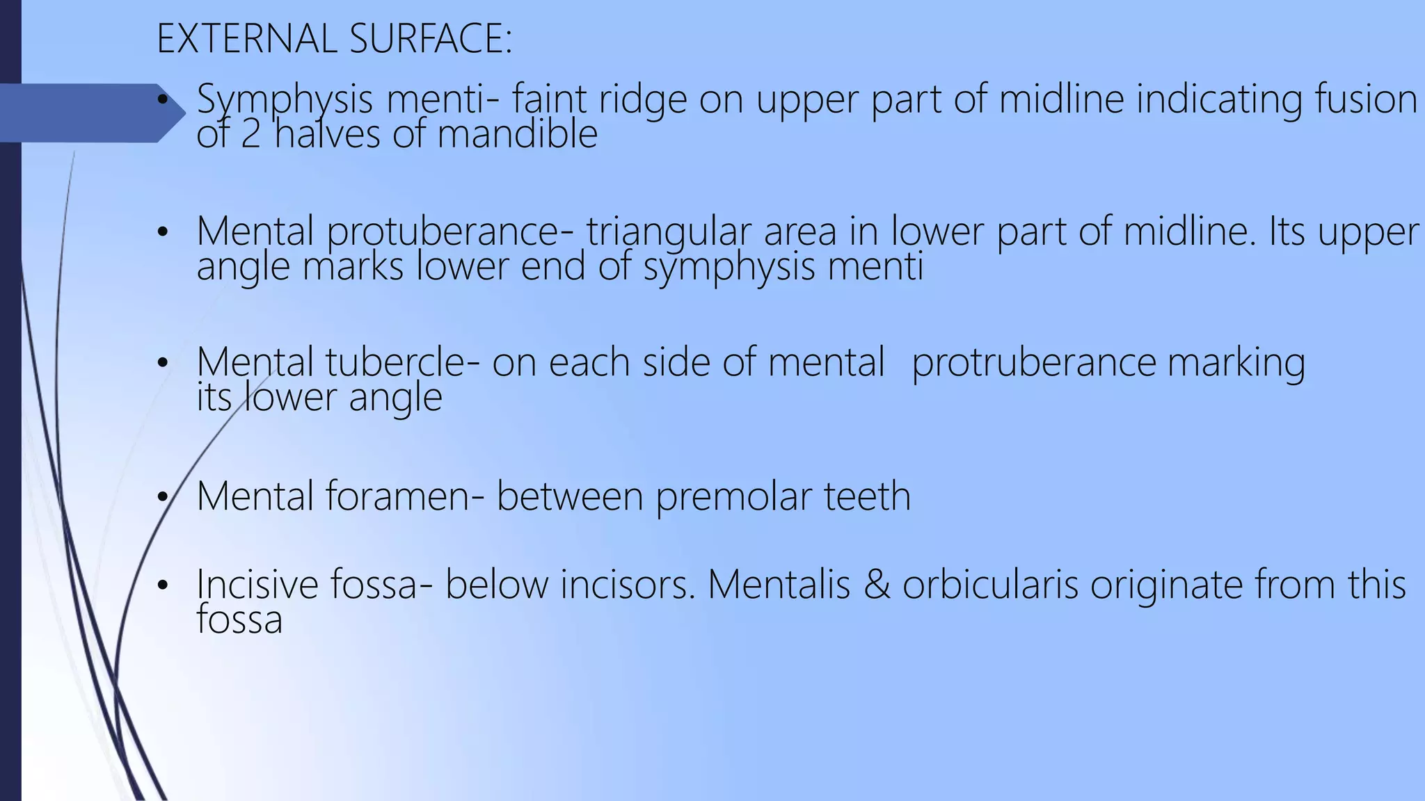 surgicalanatomyofmandible-190510072105 (1).pptx